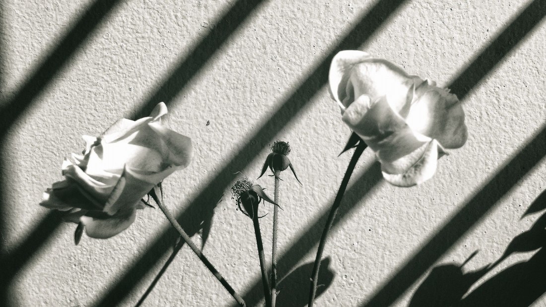 প্রতীতি – Mondro